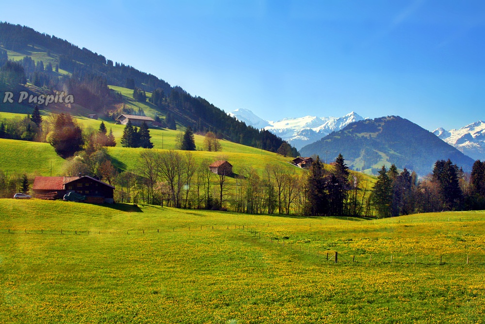 Live Is An Adventure: Beauty Spring in Mount Alpine Foothills, Switzerland.