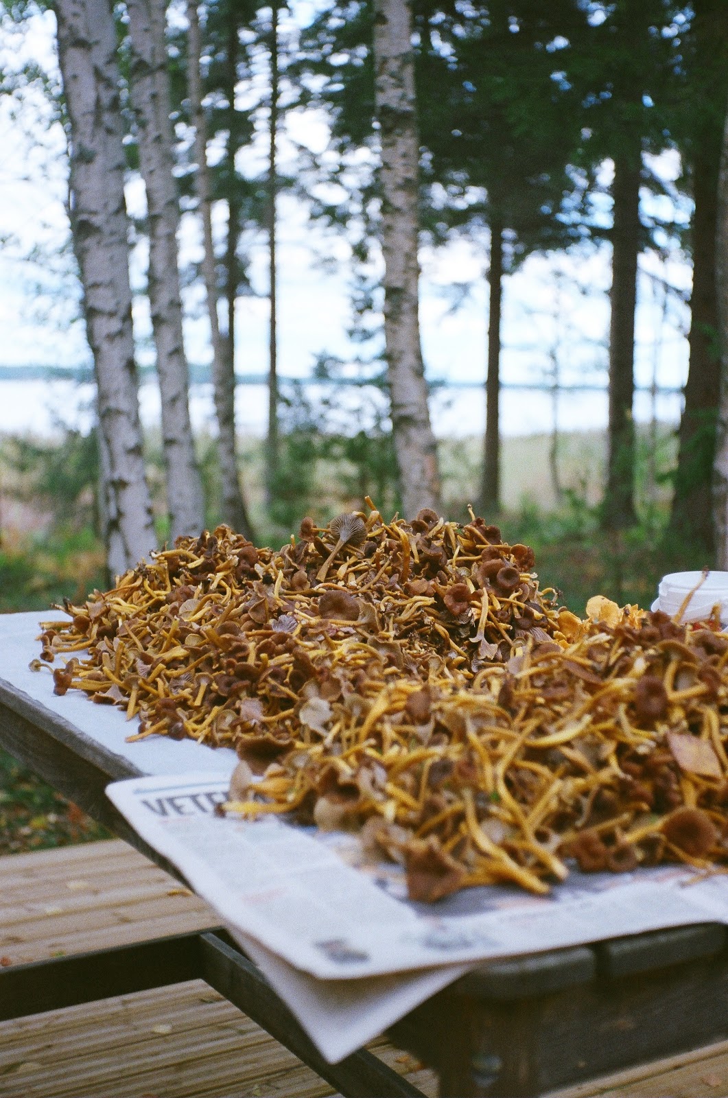 PECONIA