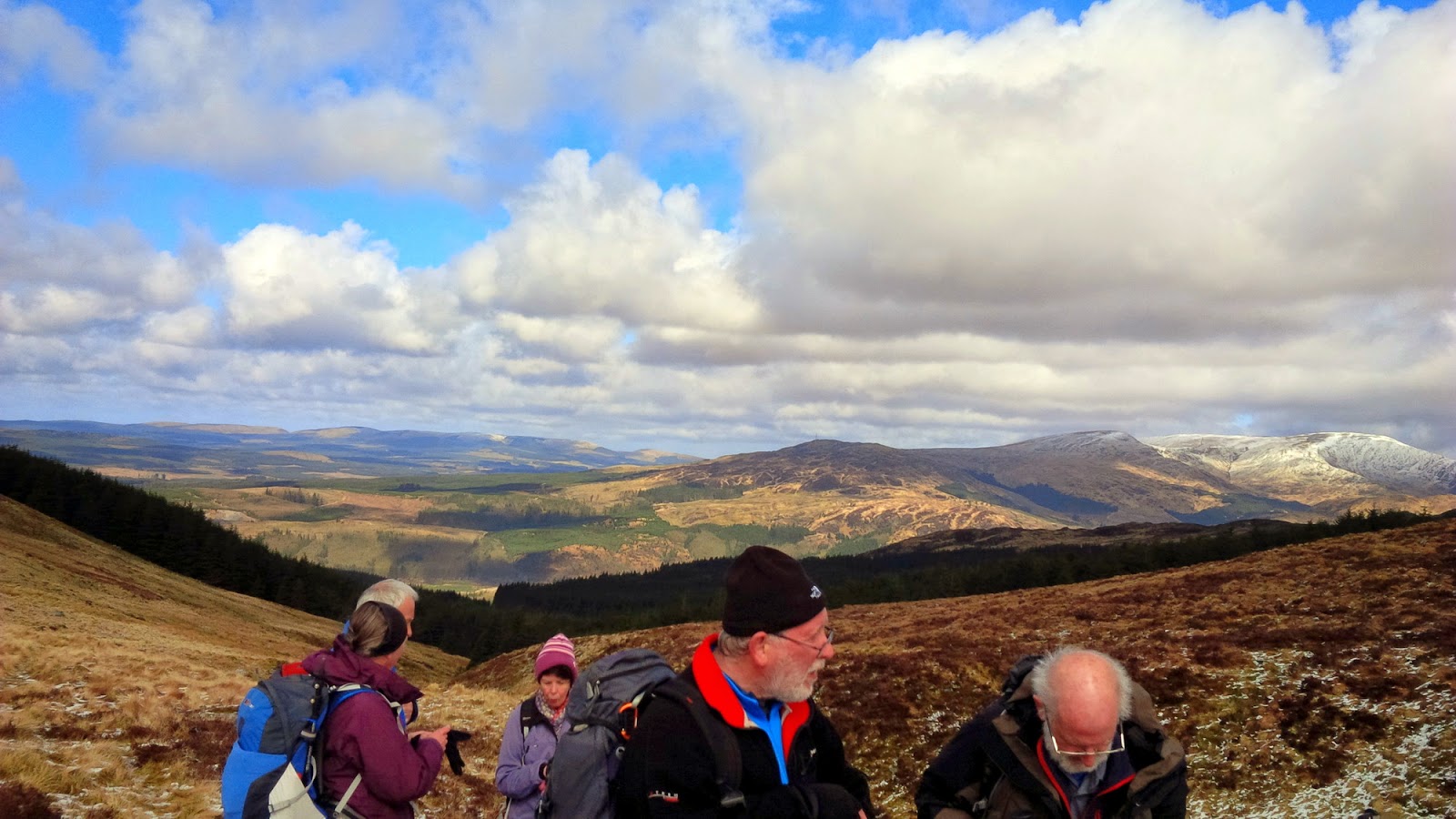 The Glebe Blog: Wigtownshire Ramblers Two Walks - Wood of Cree to Loch ...