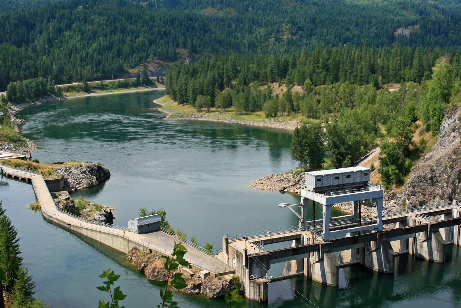 Goan's On: August 2013