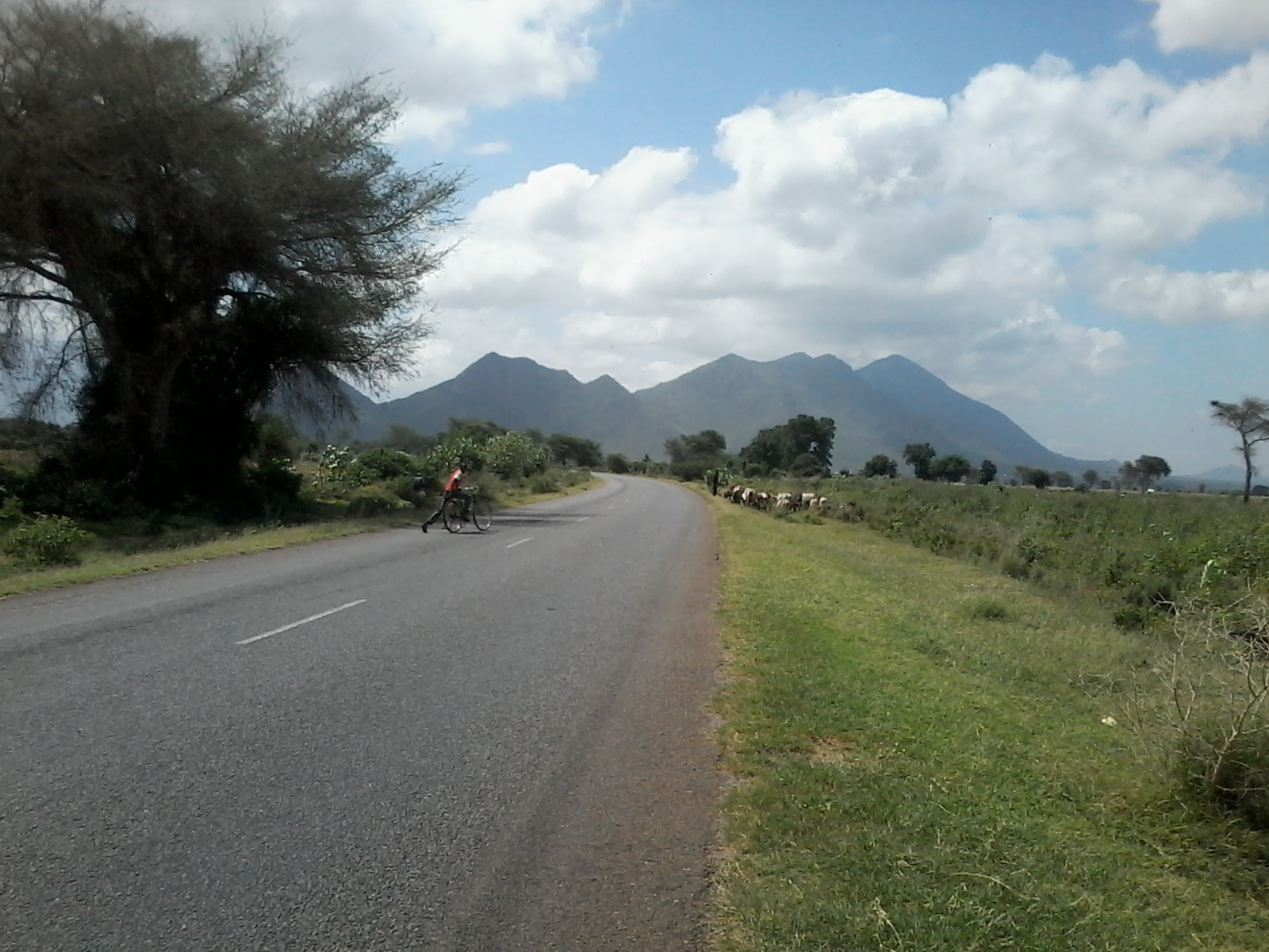 Times in Tanzania: North Pare Mountains and Kindoroko Forest