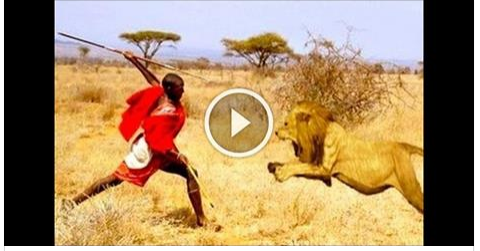 Lion vs Man - Real Fight