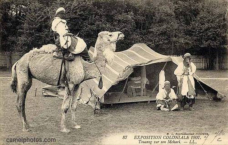 20 Historic Photos of Africans in European Zoos From the Late 19th and ...