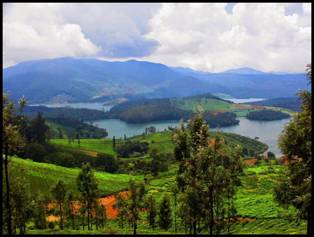 10 Must Visit Exotic Places in Ooty
