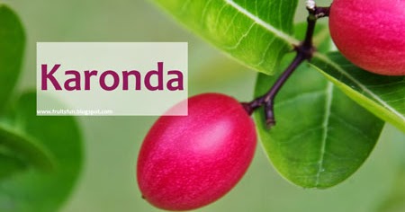 Ever Fresh Fruits: Karonda - Fruit name starting with "K"