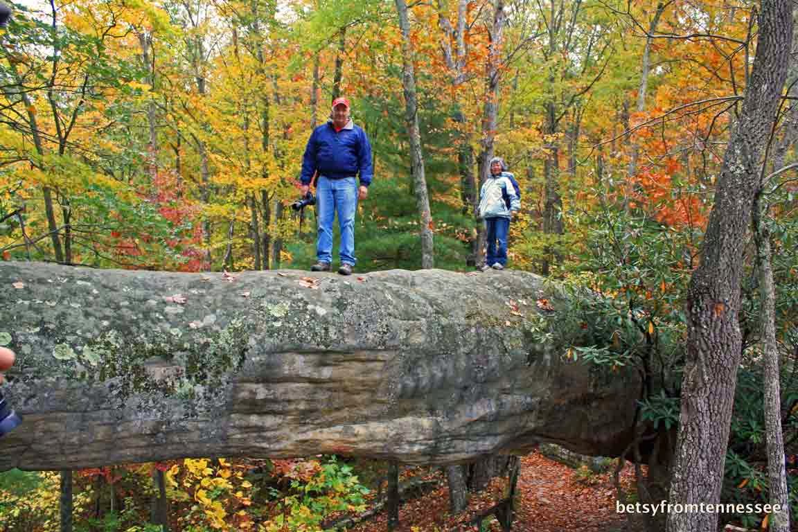 JOYFUL REFLECTIONS: Log Rock at Kingdom Come State Park, Kentucky 10/23/13