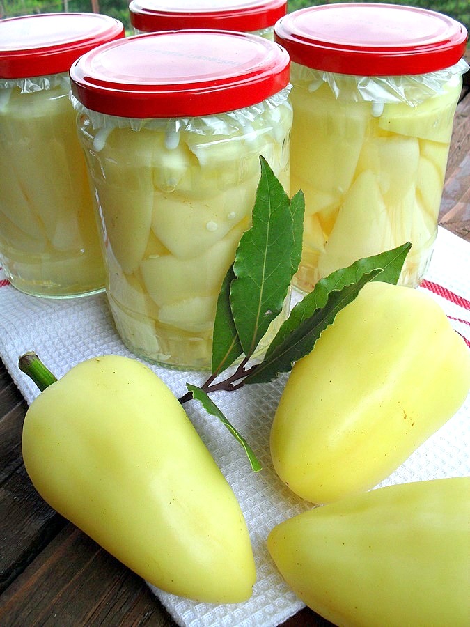 Gaga u kujni: Somborka u turšiji