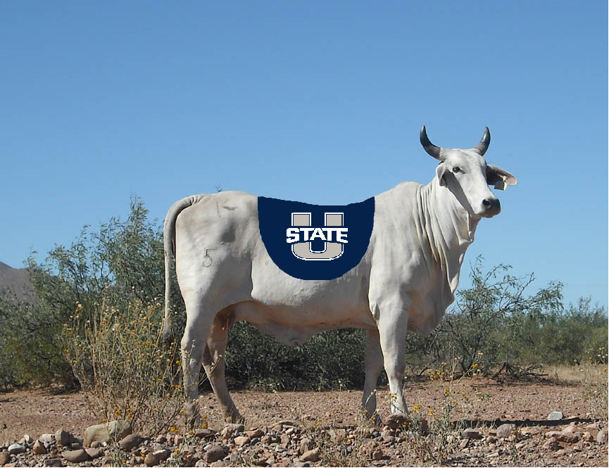 Always an Aggie:: 5 Ways USU Might Be Different Without Alumni Support