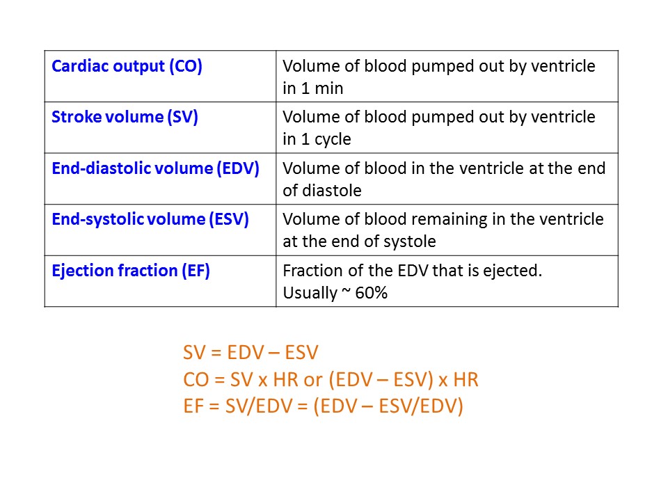 CVT Mohd Farid: Physiology Of The Heart-Cardiac Cycle