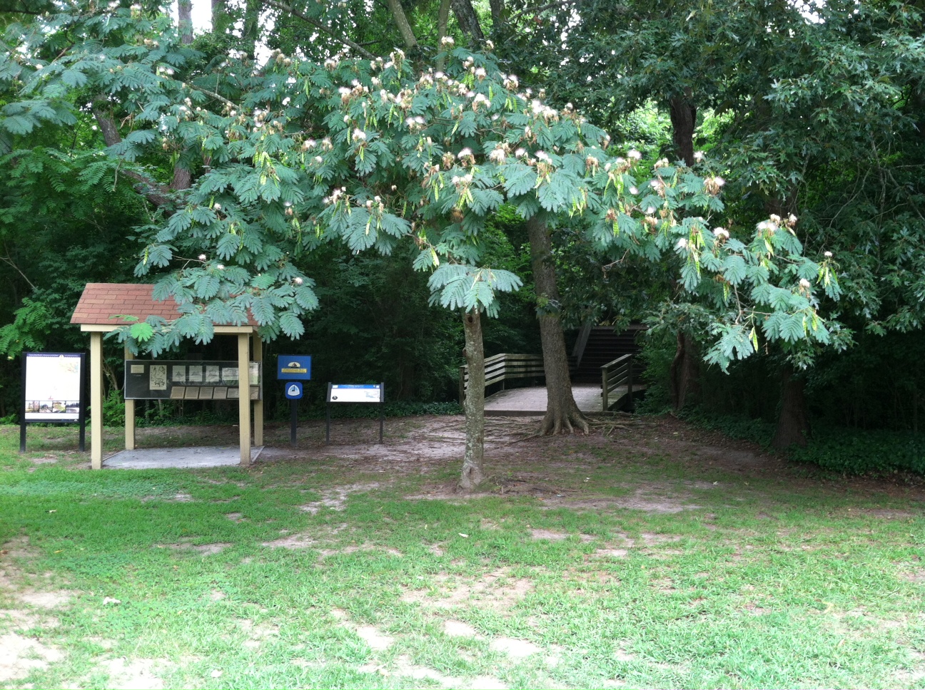 Pawstcards from Hampton Roads: Fort Boykin Park, Smithfield, VA