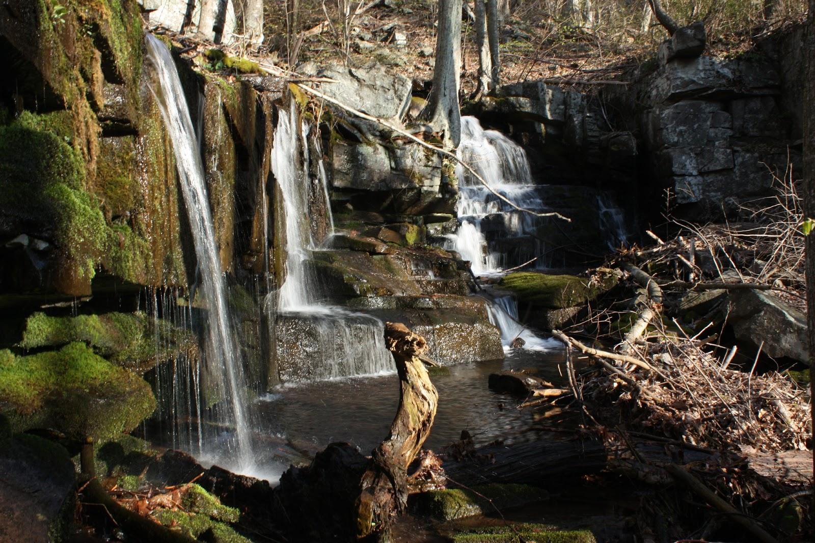Hiking Shenandoah: Elliott Knob