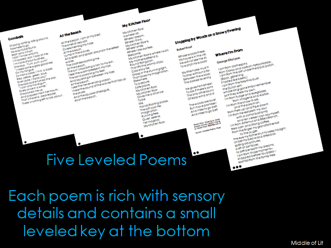 Middle of Lit: Sensory Detail Poetry Stations