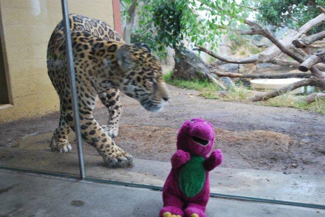 Pooch Smooches: Barney