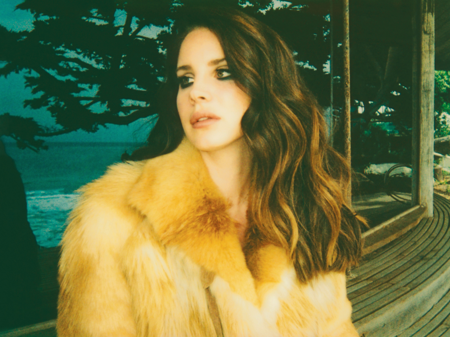 Lana Del Rey and her album covers - Review Reviews