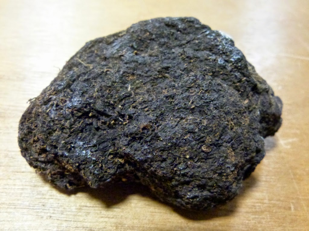 Geología visu: Rocas Sedimentarias