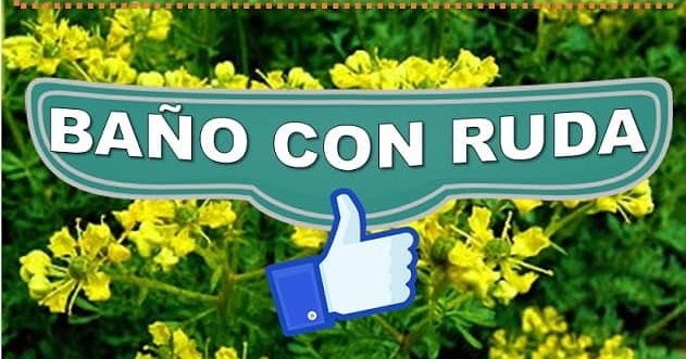 Exclusivo Baño con Ruda para Abrir Caminos en la Suerte, Trabajo y ...