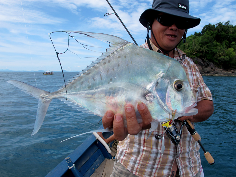 Tackle Fever: ULTRA LIGHT JIGGING