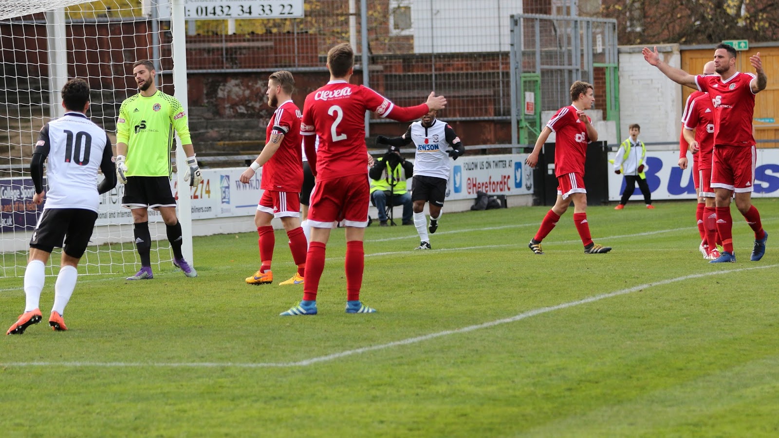 Bulls News: Winter arrives with Poppies & Robins and Fortune did favour ...