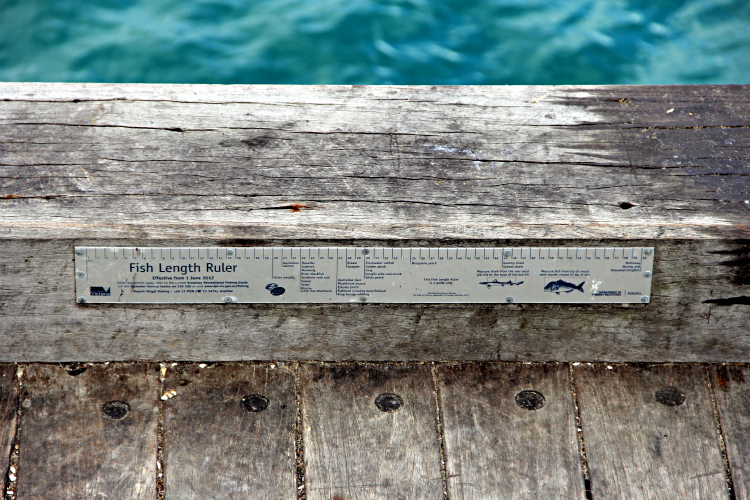 All The Live Long Day: Great Ocean Road: Part 1 (Torquay - Lorne)