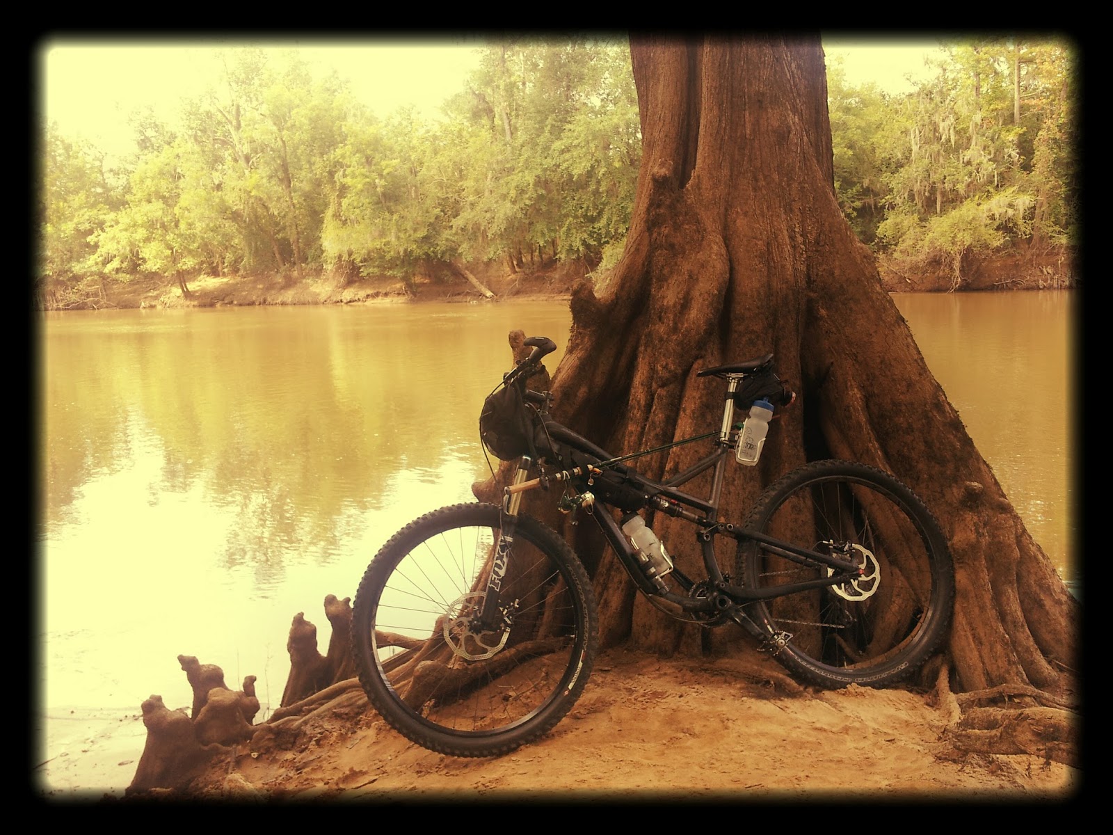 Ocmulgee WMA Georgia