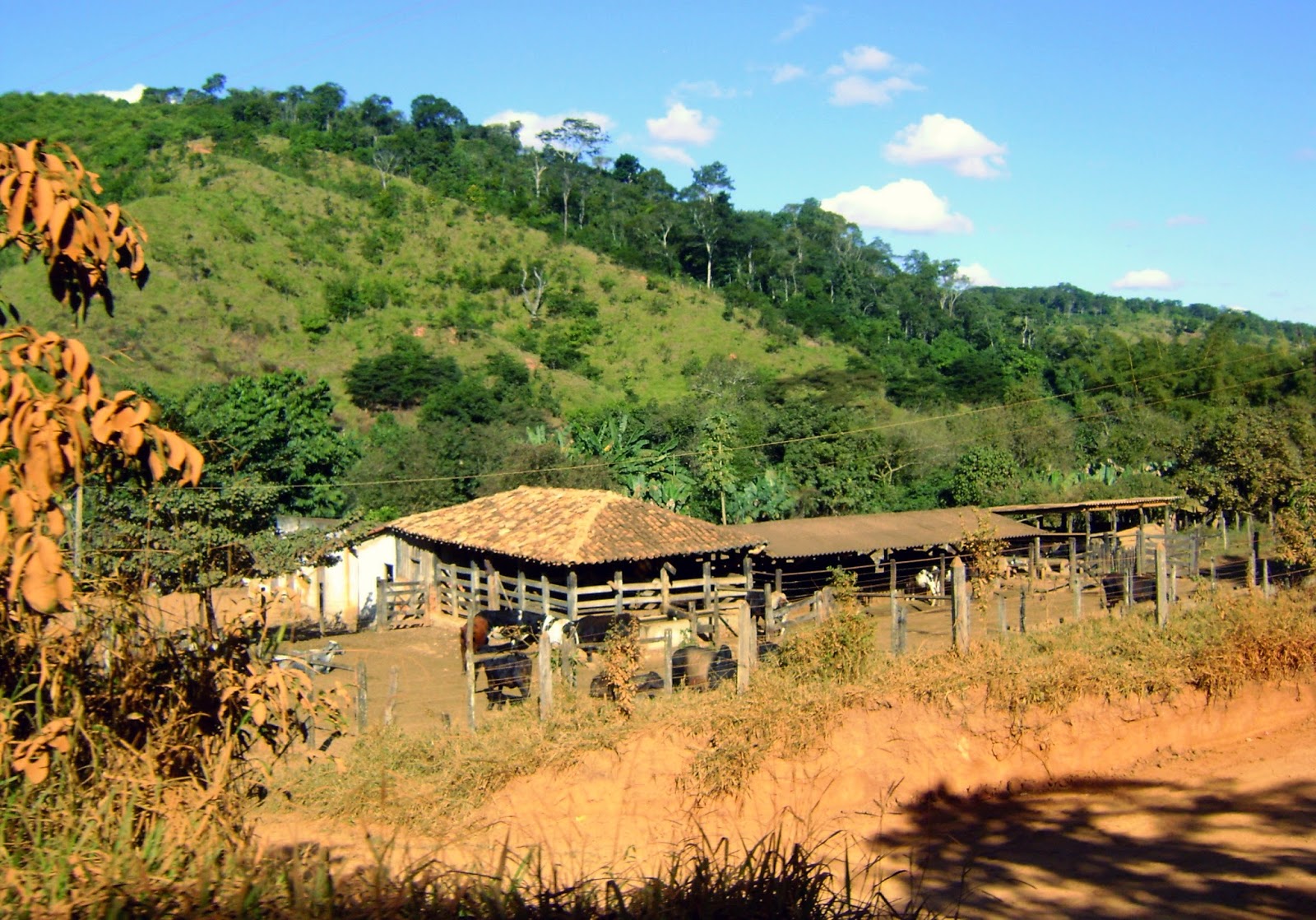 Imagens Rurais: Imagens Rurais, cachoeira são Domingos de Limeira
