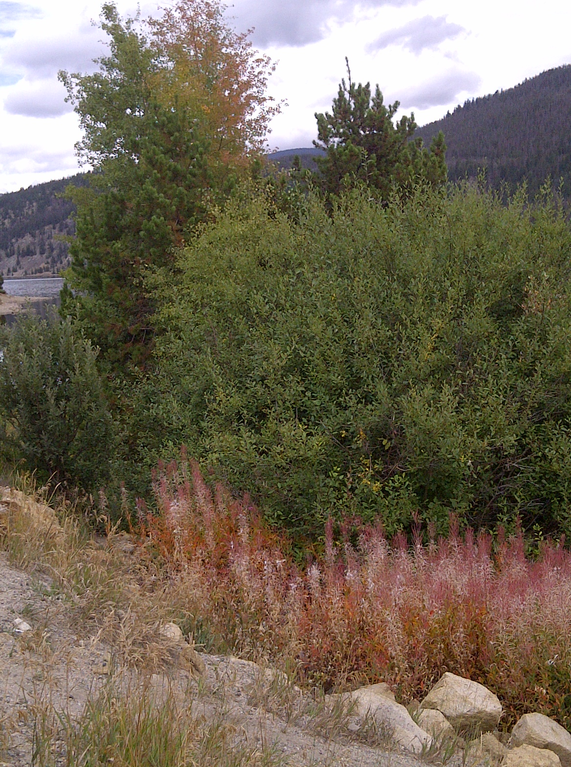 High Country Activities: Fall Comes to Summit County, Colorado