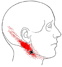 Physiotherapy: Myofascial Release