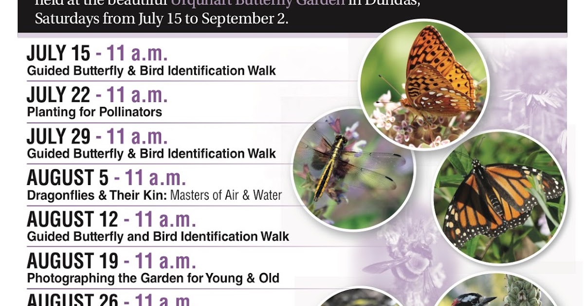 Planting for Pollinators! Sat. July 22 Urquhart Butterfly Garden