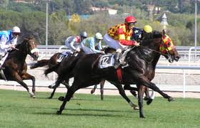 Caballos: Caballos PSI