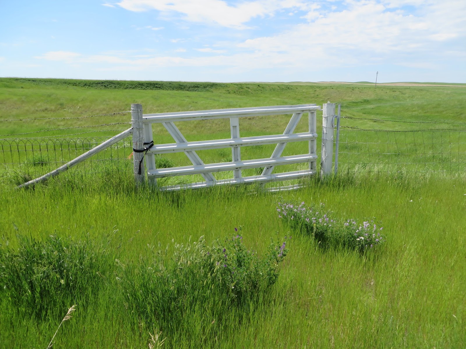 From Old West to Mountain West: Opheim, Montana