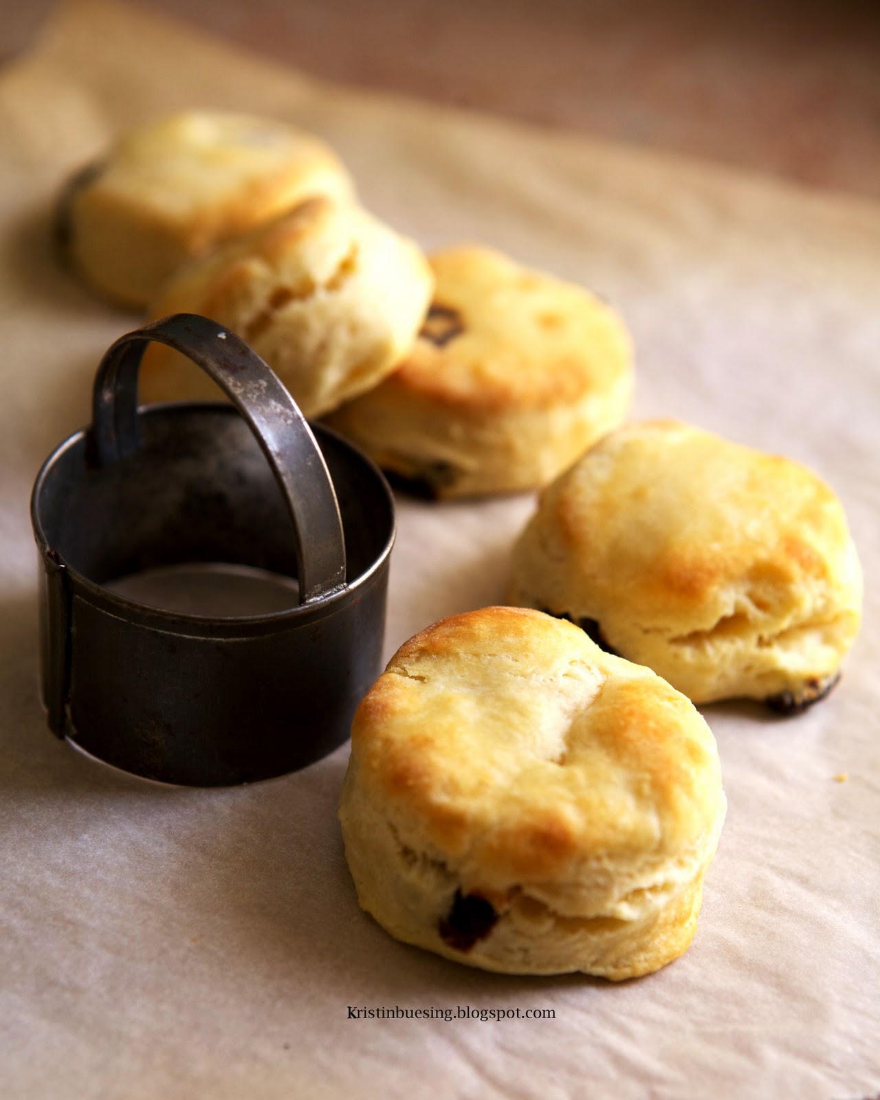 Kristin Buesing: Beautiful Scones - Daring Baker January Challenge