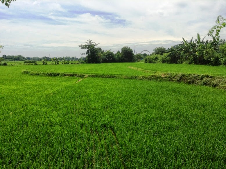 lupa-bahay-atbp: RUSH SALE! San Bonifacio, San Manuel, Pangasinan ...