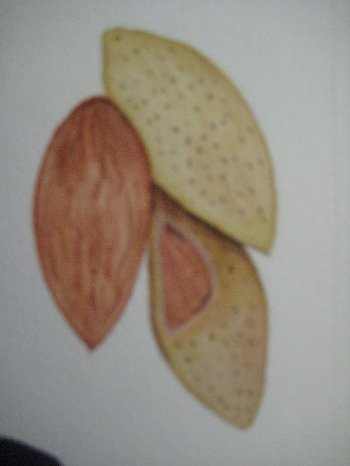 Creations Of Mythili......: Painting Almonds