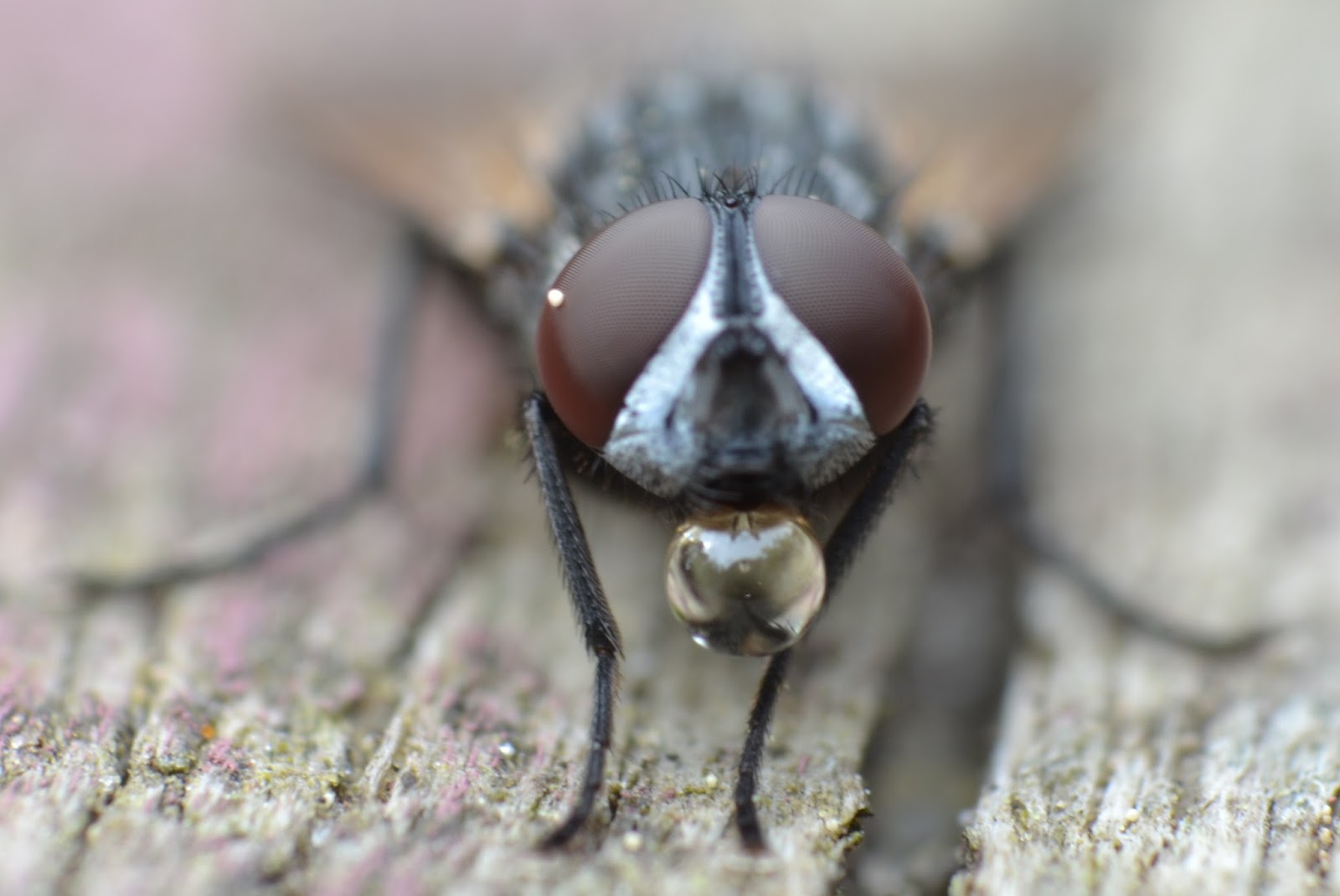 gemachtes und gedachtes