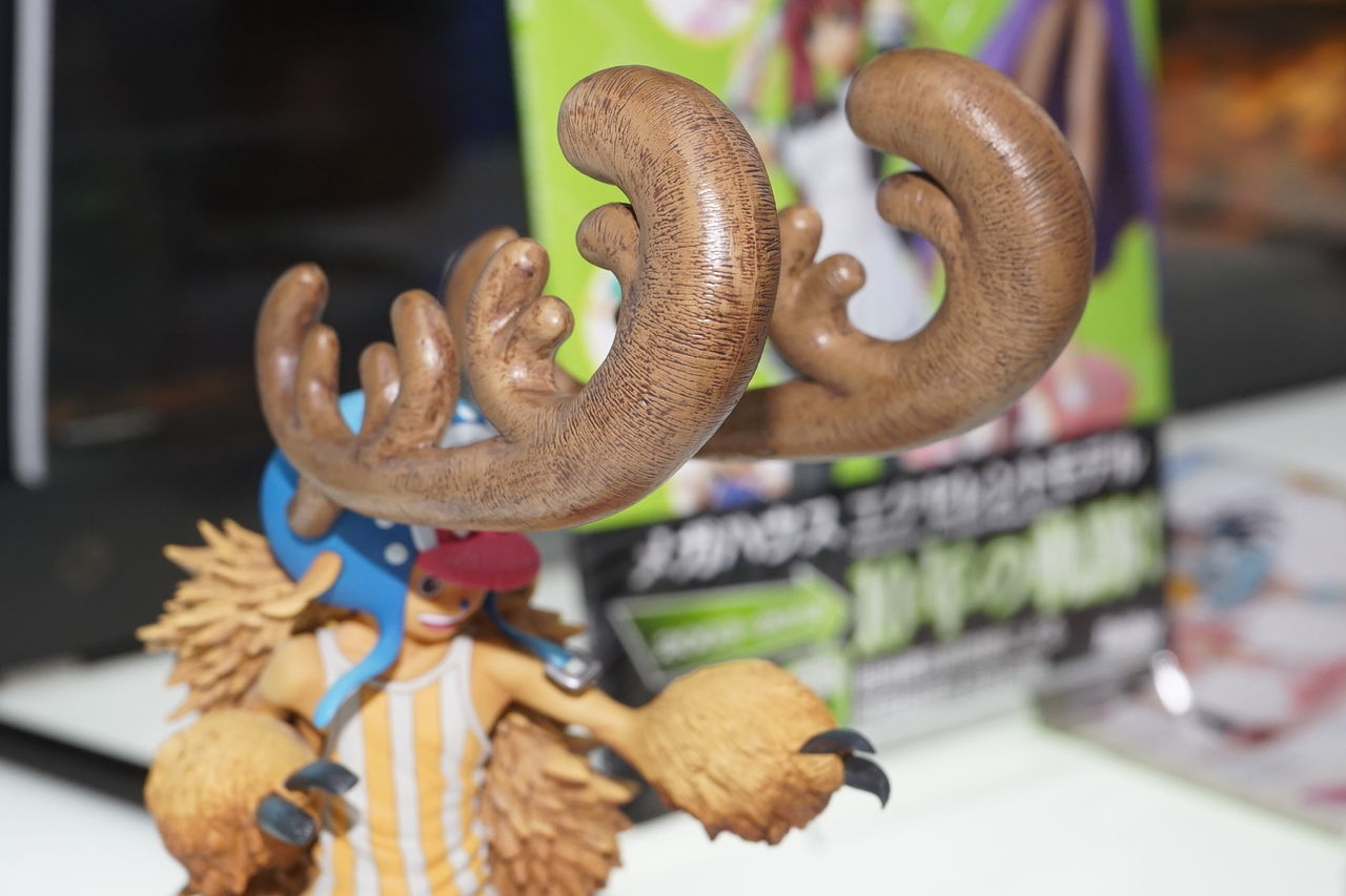 Wonder Festival 2014 [WINTER]: Colormania!