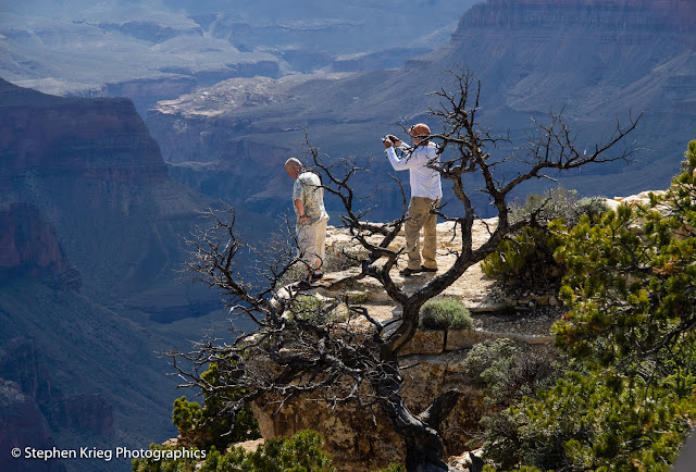 Grand Canyon Photography by Stephen Krieg: Coconino Overlook, North ...