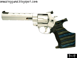Arminus HW 357 .357 Magnum | Guns and guns