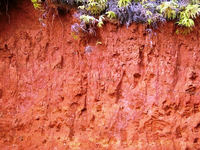 Soil and Environment: Highly weathered soils from Visayas, Philippines