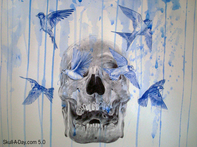 Paul Alexander Thornton's Skulls