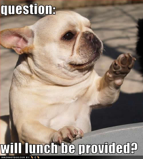 Funny Animals Funny Pictures: Funny French Bulldog Images 2012