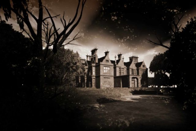 About everything: Manderley-Rebecca!