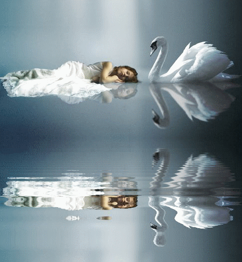 Un blog cu gif-uri: Gifuri natura