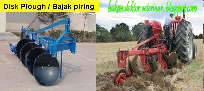 bukan doktor veterinar: Tanaman Rumput Ternakan