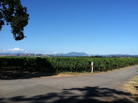 Living the "Iron" Life"Iron" Distance Triathlon: 70.3 Vineman - Half ...