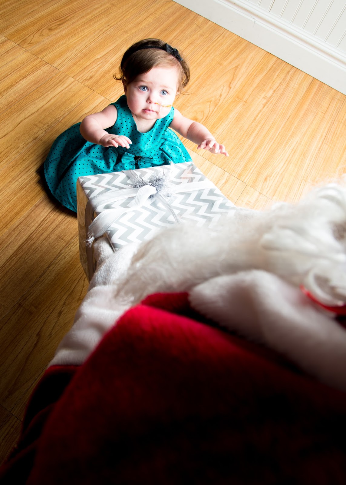 The Nielsen's: FotoFly Santa