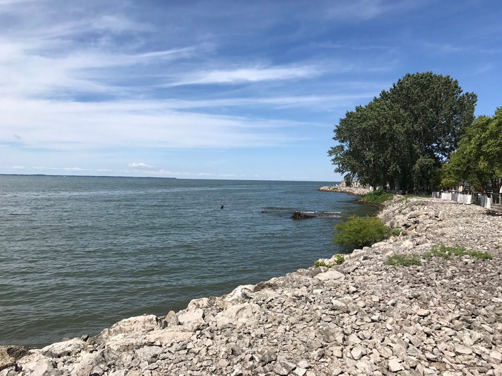 John's World: Roller Coaster Road Trip 2017: Lighthouse Point at Cedar ...