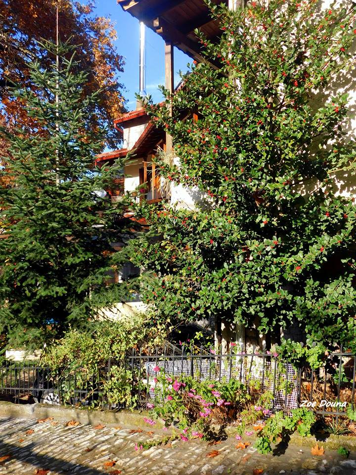 Homo Universalis: ΣΤΗΝ ΑΓΚΑΛΙΑ ΤΟΥ ΠΑΡΝΑΣΣΟΥ ( Αράχωβα-Αγόριανη ...