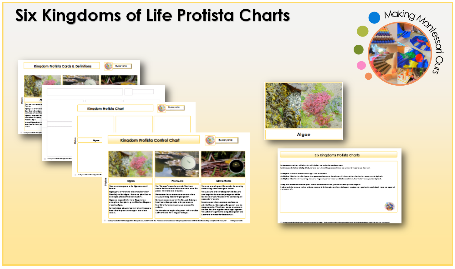 Montessori Six Kingdoms Complete Printable Charts, and Activities ...