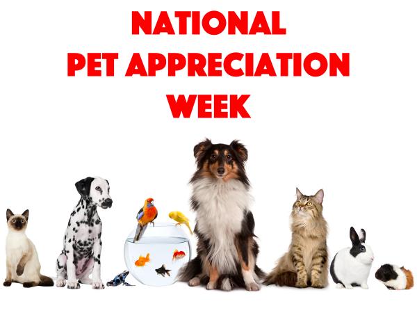 Pet Blog By Bocci @ Bocci's Beefs: As National Pet Appreciation Week ...