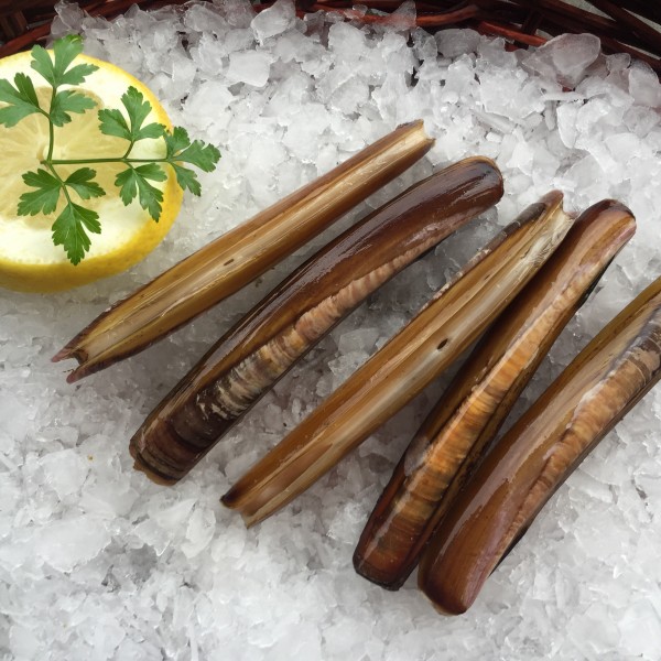 Navajas | Mariscos Gontelo